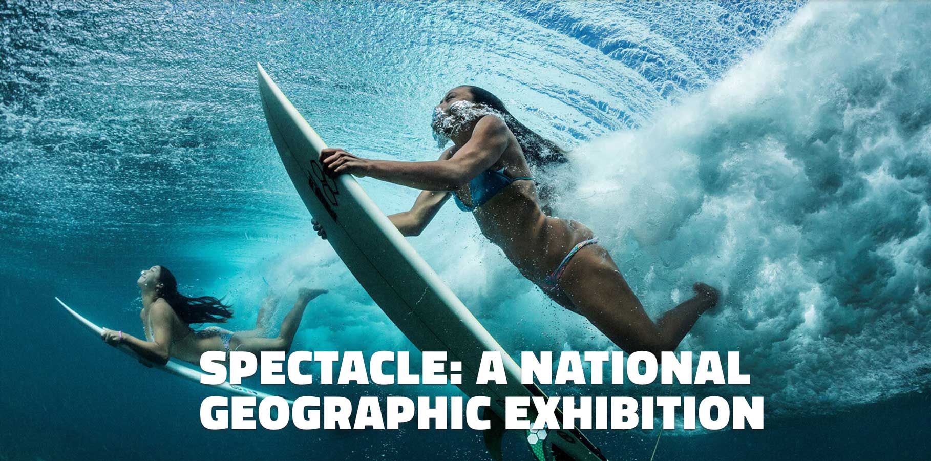SPECTACLE: A National Geographic Exhibition at Science World Vancouver ...